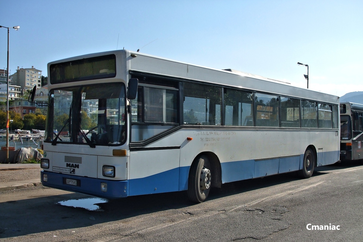 MAN SL202 - MAN SL202 #8 ΚΤΕΑΛ ΧΑΛΚΙΔΑΣ - Bus Gallery