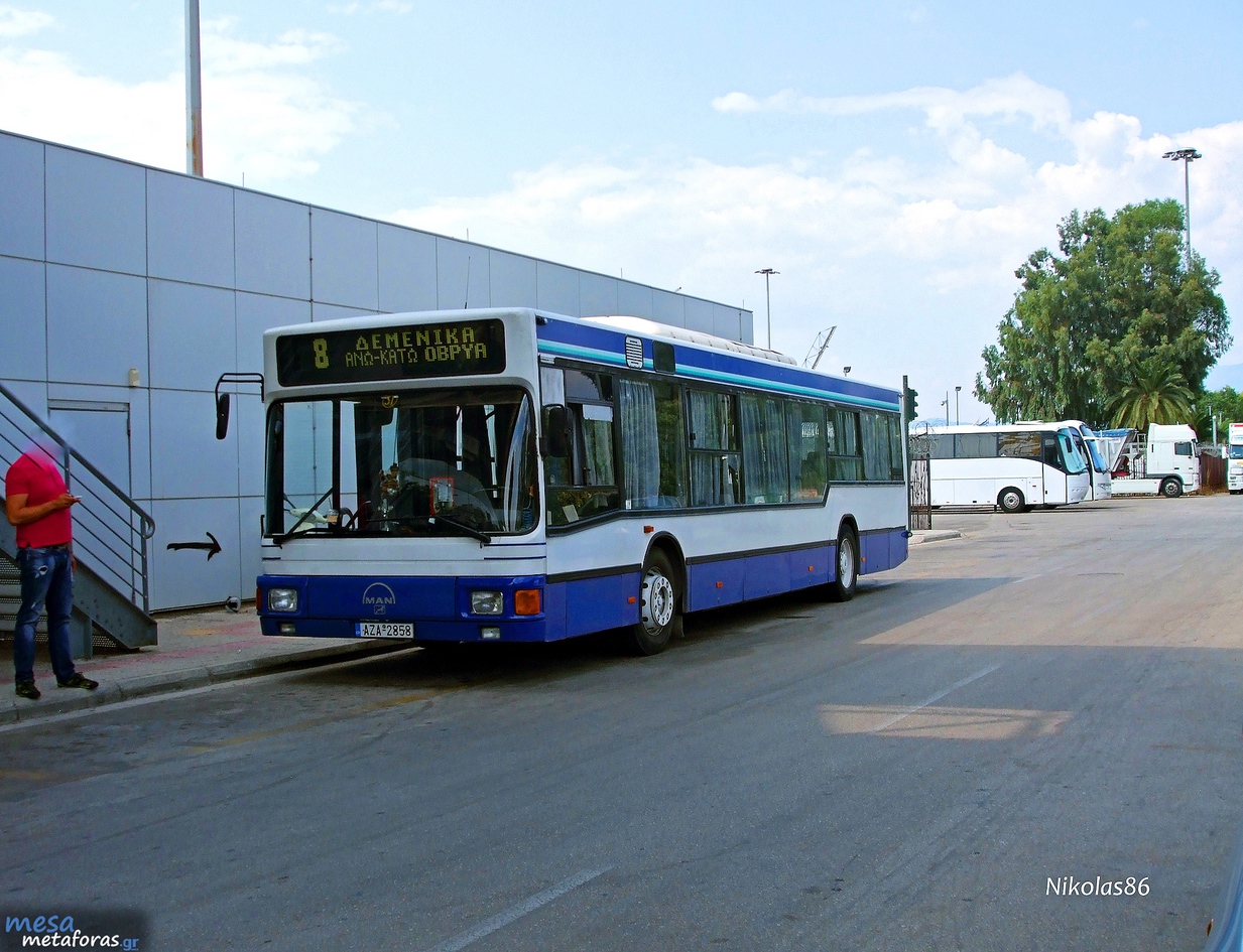 MAN A10-III - MAN A10-III #31 ΑΣΕΠΑ/ΕΑΛΠ - Bus Gallery